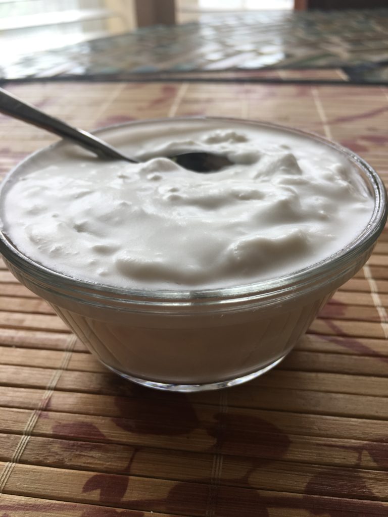 Craving Coconut? Try This Easy Coconut Yogurt in Clay! ⋆ Freedom & Coffee